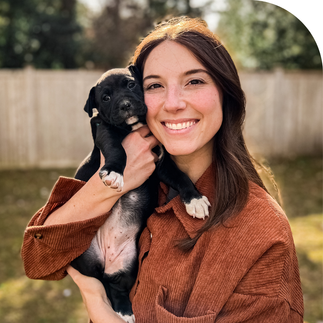 THE TEAM - Quarry Dog Daycare