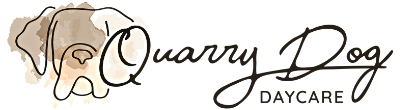 HOME - Quarry Dog Daycare - Doggie Daycare