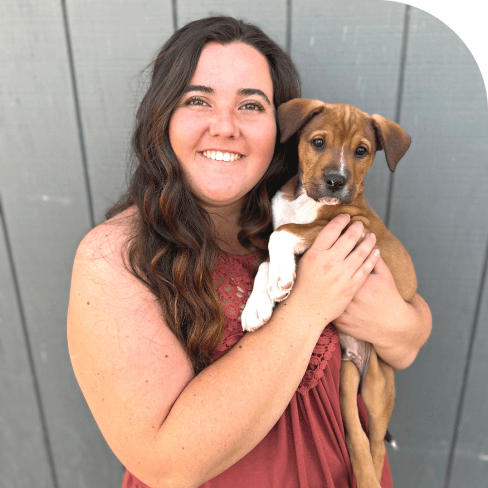 THE TEAM - Quarry Dog Daycare